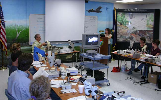 SERTC: Amphipod Workshop